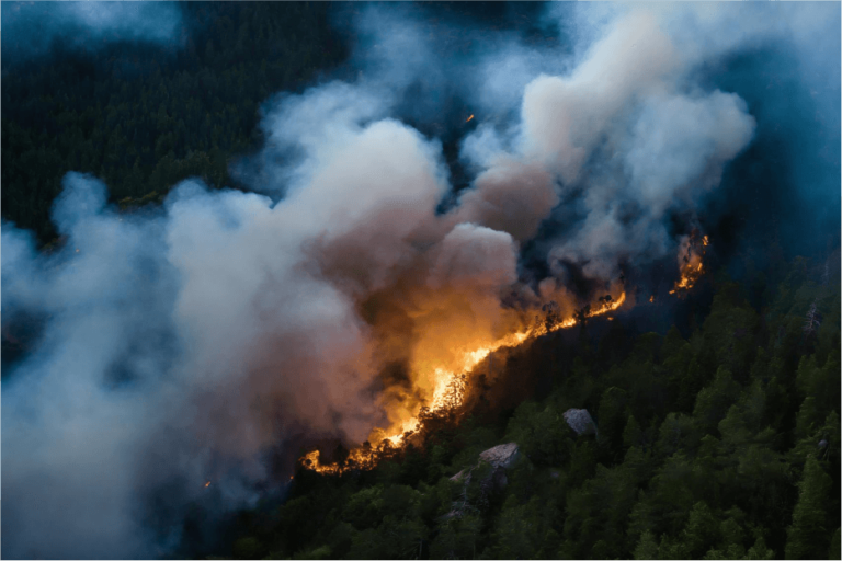 Conference – PIWOT